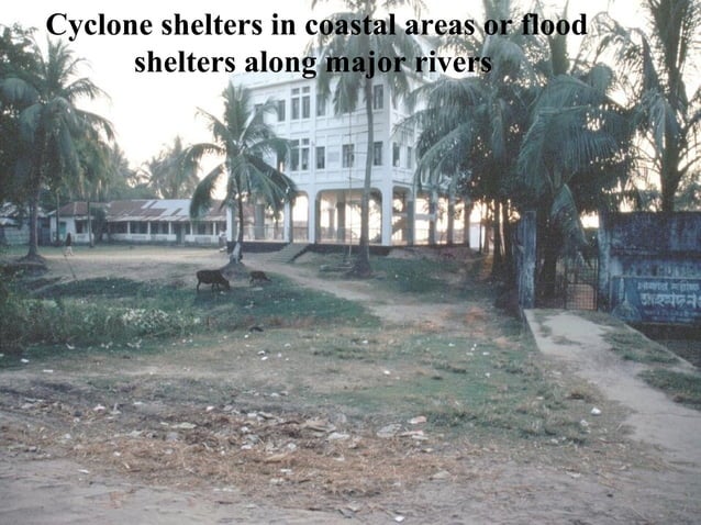 DRR basic concepts and terminologies of disaster risk reduction DRR | PPT