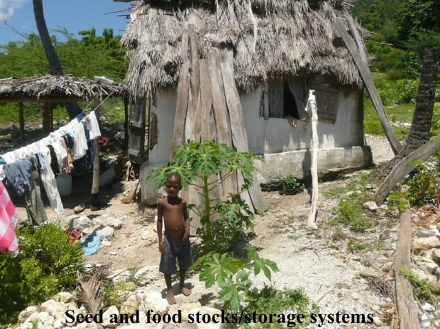 DRR basic concepts and terminologies of disaster risk reduction DRR | PPT