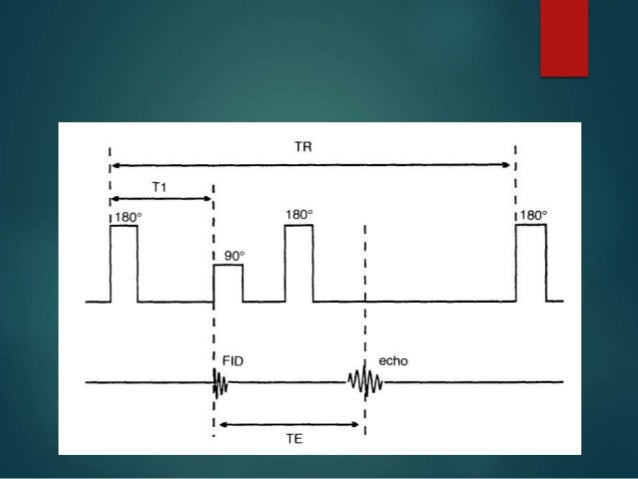 Basic Pulse Sequences In MRI