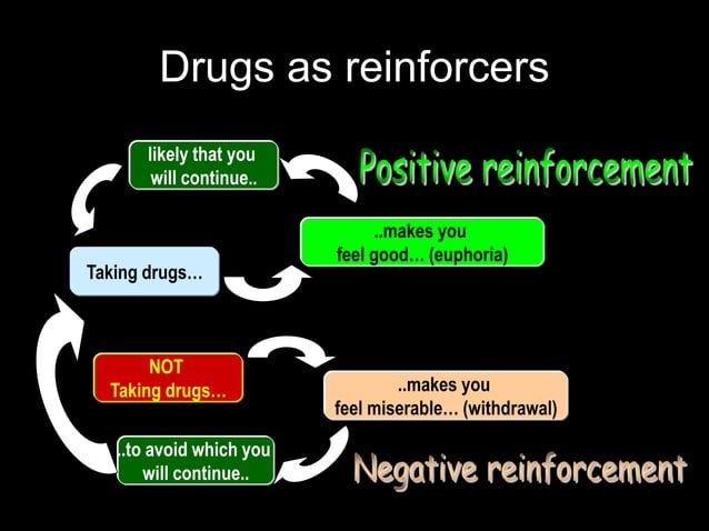 1_Basics of Drugs basics of drugs....ppt
