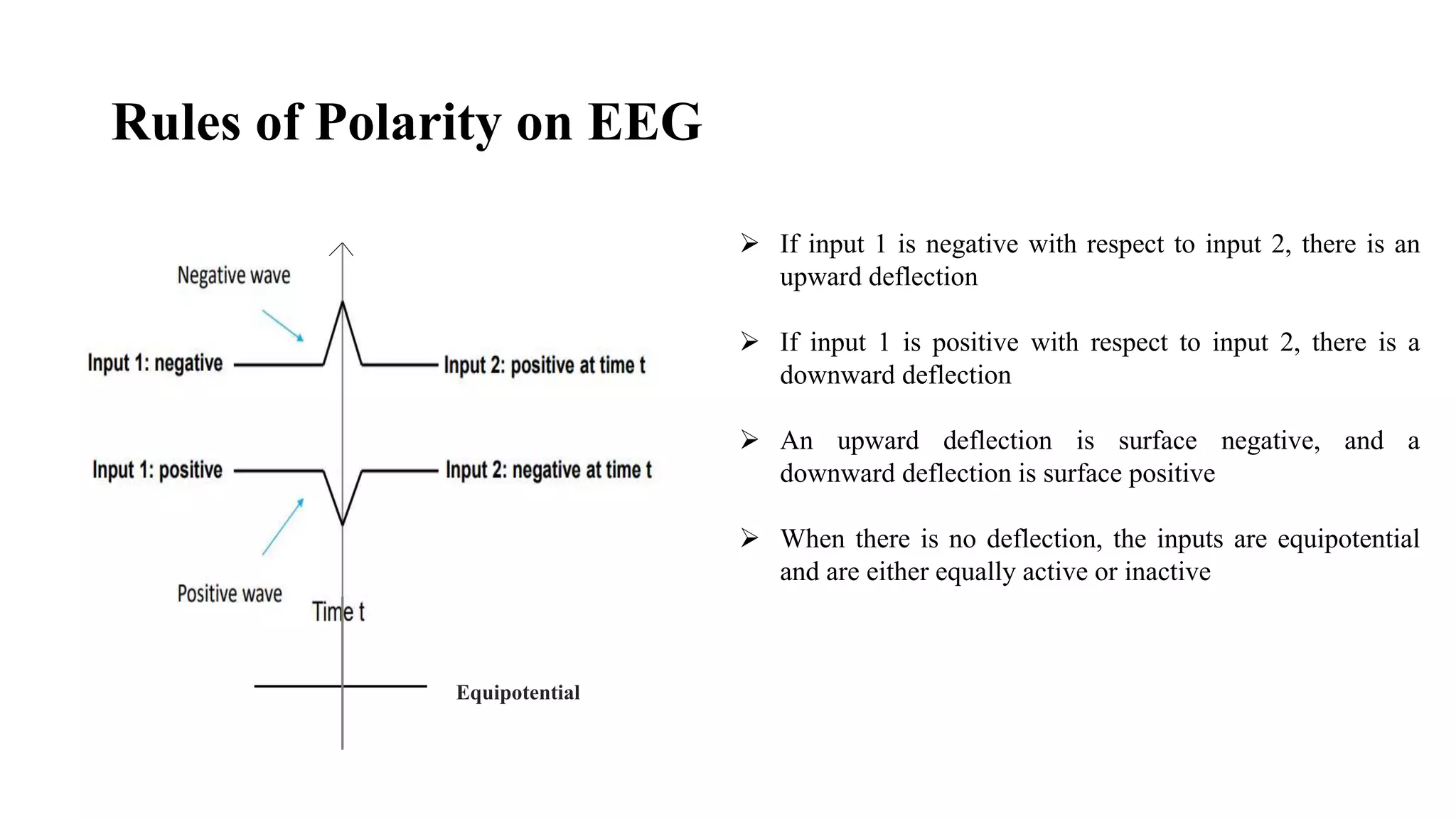 1 basics of eeg and fundamentals of its measurement | PPTX