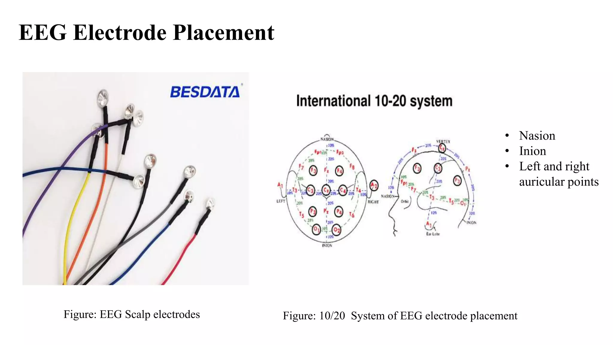 1 basics of eeg and fundamentals of its measurement | PPTX