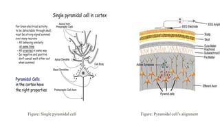 1 basics of eeg and fundamentals of its measurement | PPTX