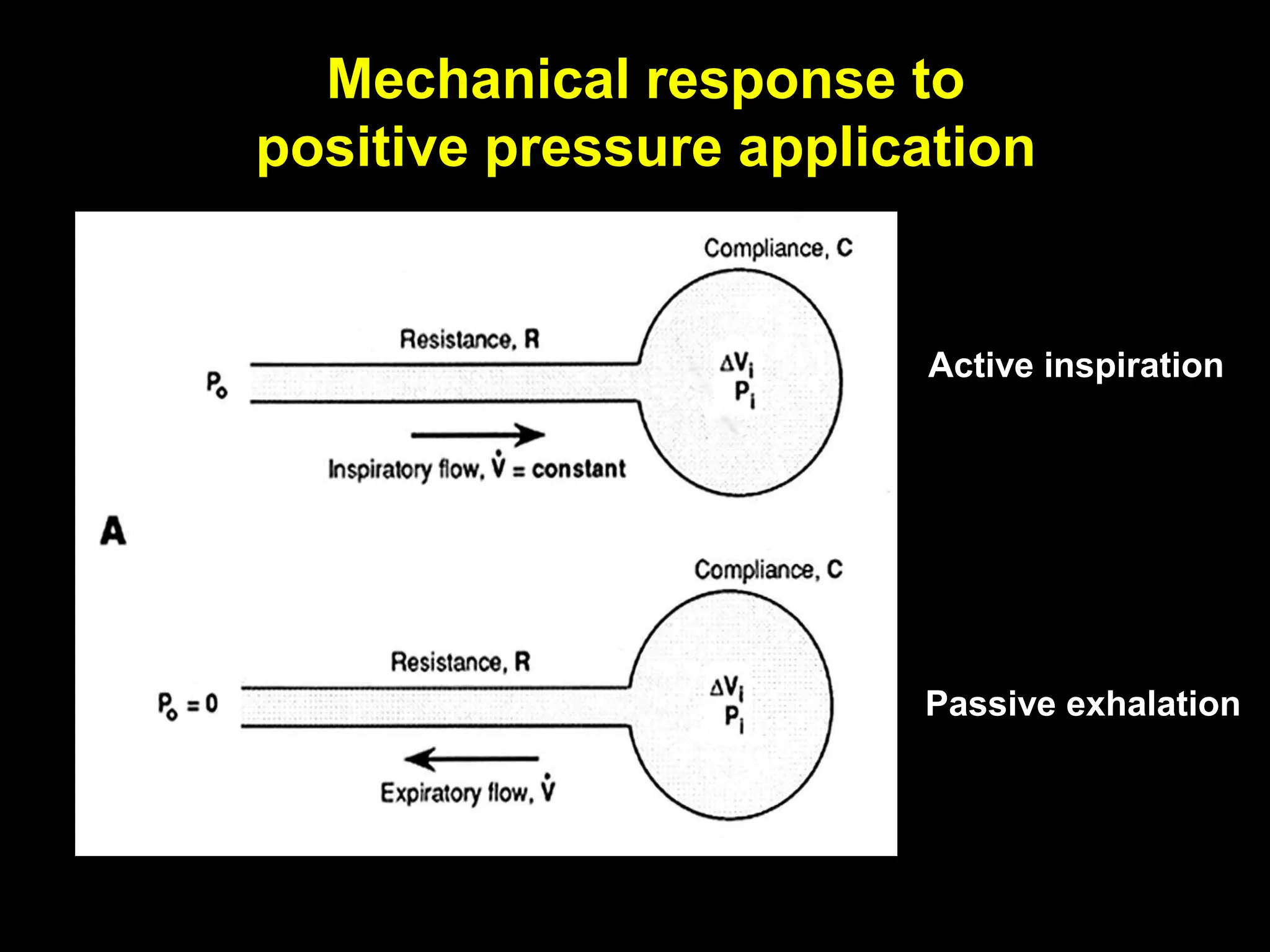 1) Basics on mechanical ventilation (1).ppt