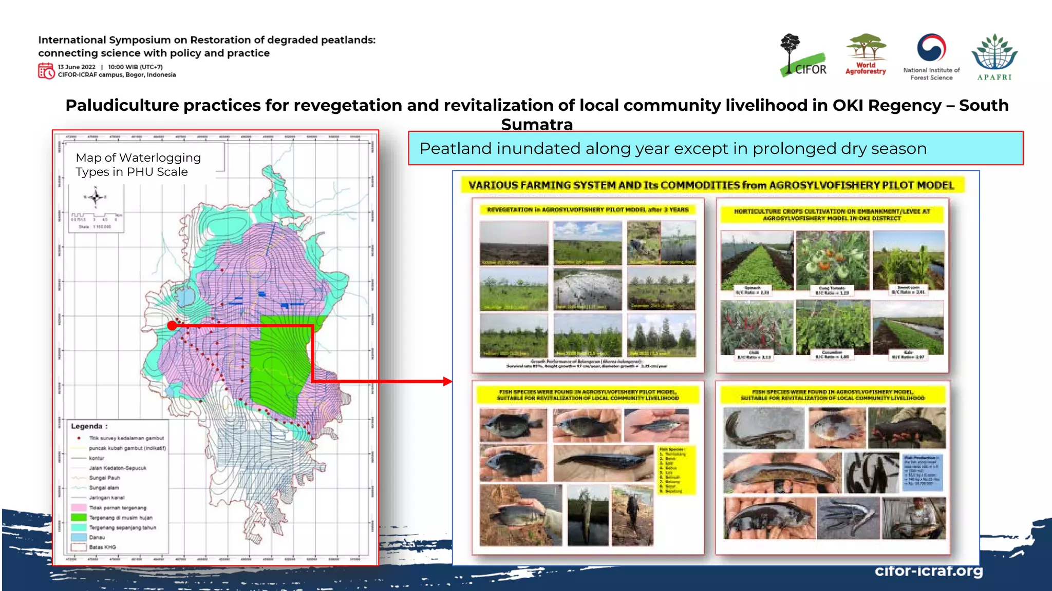 Paludiculture practices to restore degraded peatlands in South Sumatra ...