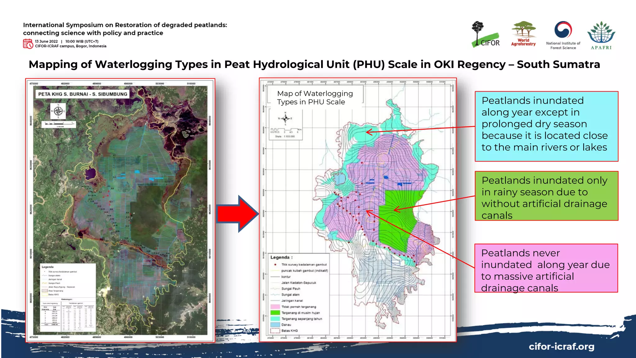 Paludiculture practices to restore degraded peatlands in South Sumatra ...