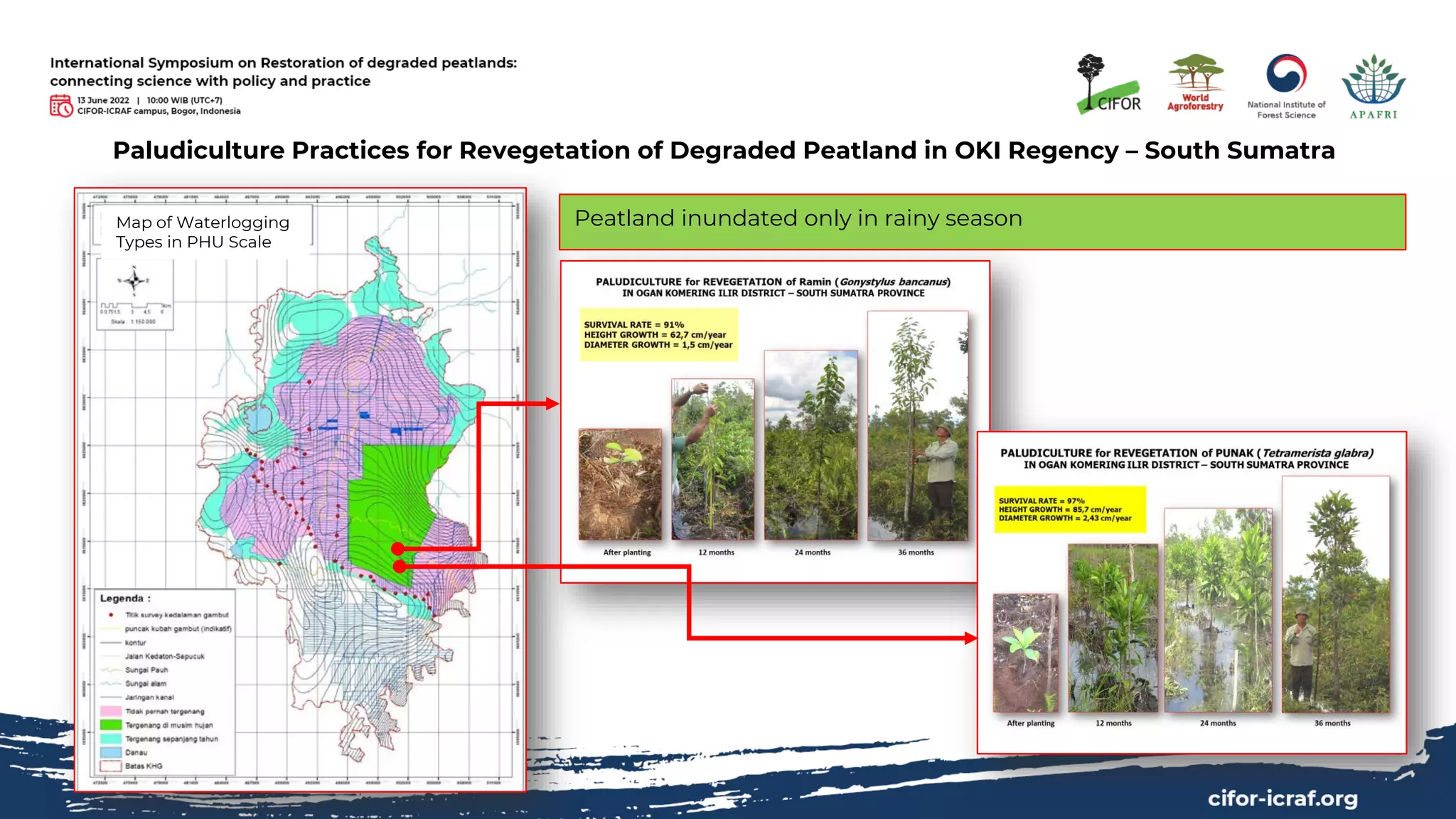 Paludiculture practices to restore degraded peatlands in South Sumatra ...