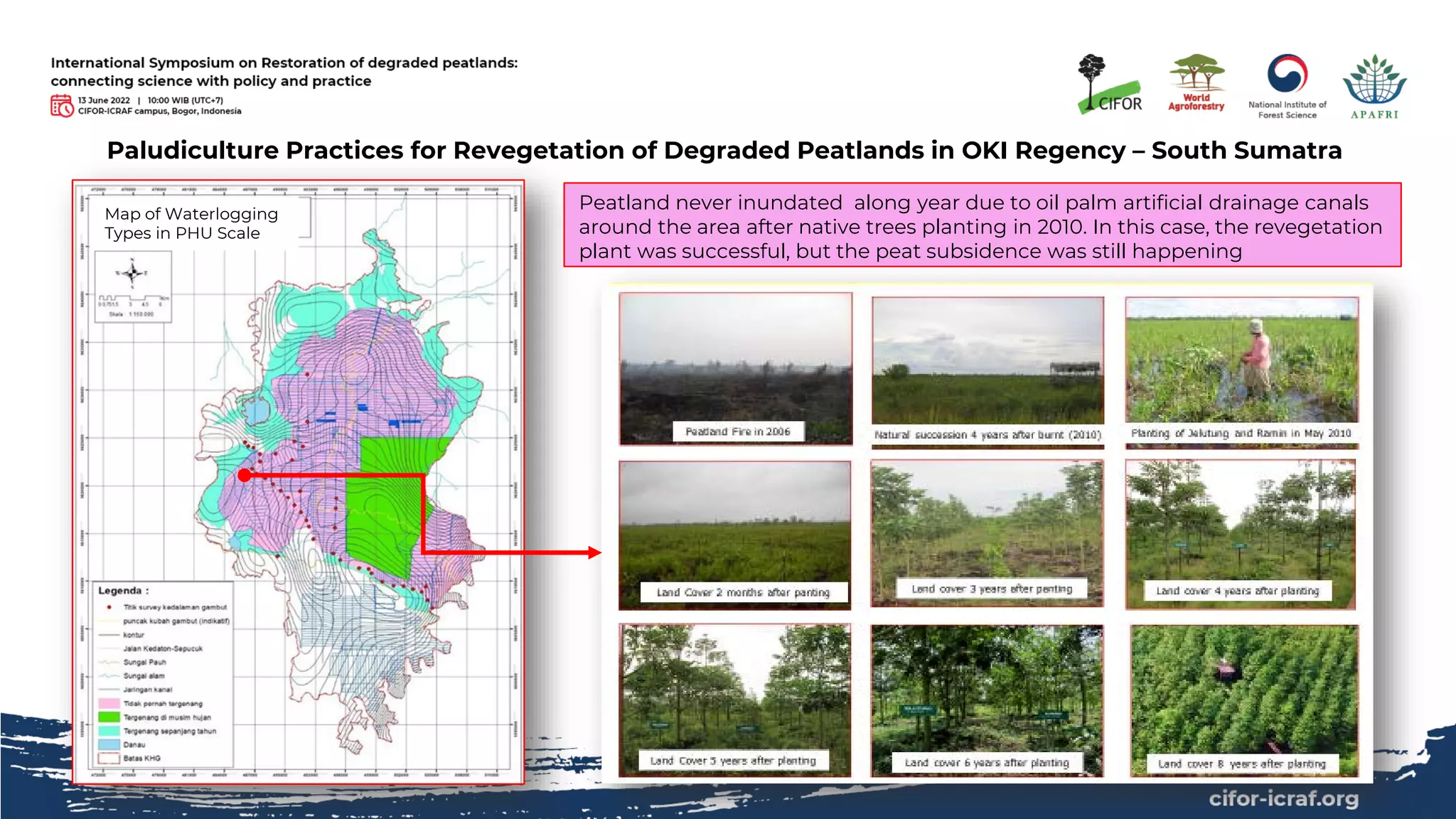 Paludiculture practices to restore degraded peatlands in South Sumatra ...