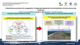Paludiculture practices to restore degraded peatlands in South Sumatra ...