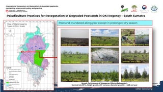 Paludiculture practices to restore degraded peatlands in South Sumatra ...