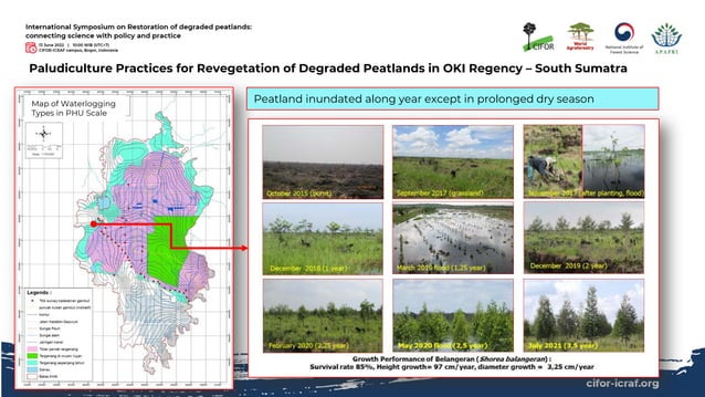 Paludiculture practices to restore degraded peatlands in South Sumatra ...