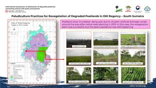 Paludiculture practices to restore degraded peatlands in South Sumatra ...