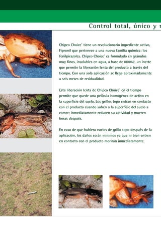 1 bayer chipco choice | PDF