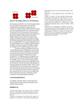 Final Manuscript | DOCX