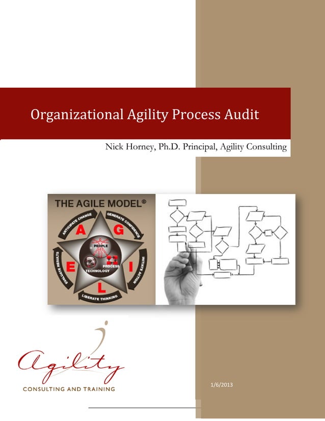 Organizational Agility Process Audit 2 - whitepaper 1-9-13 | PDF