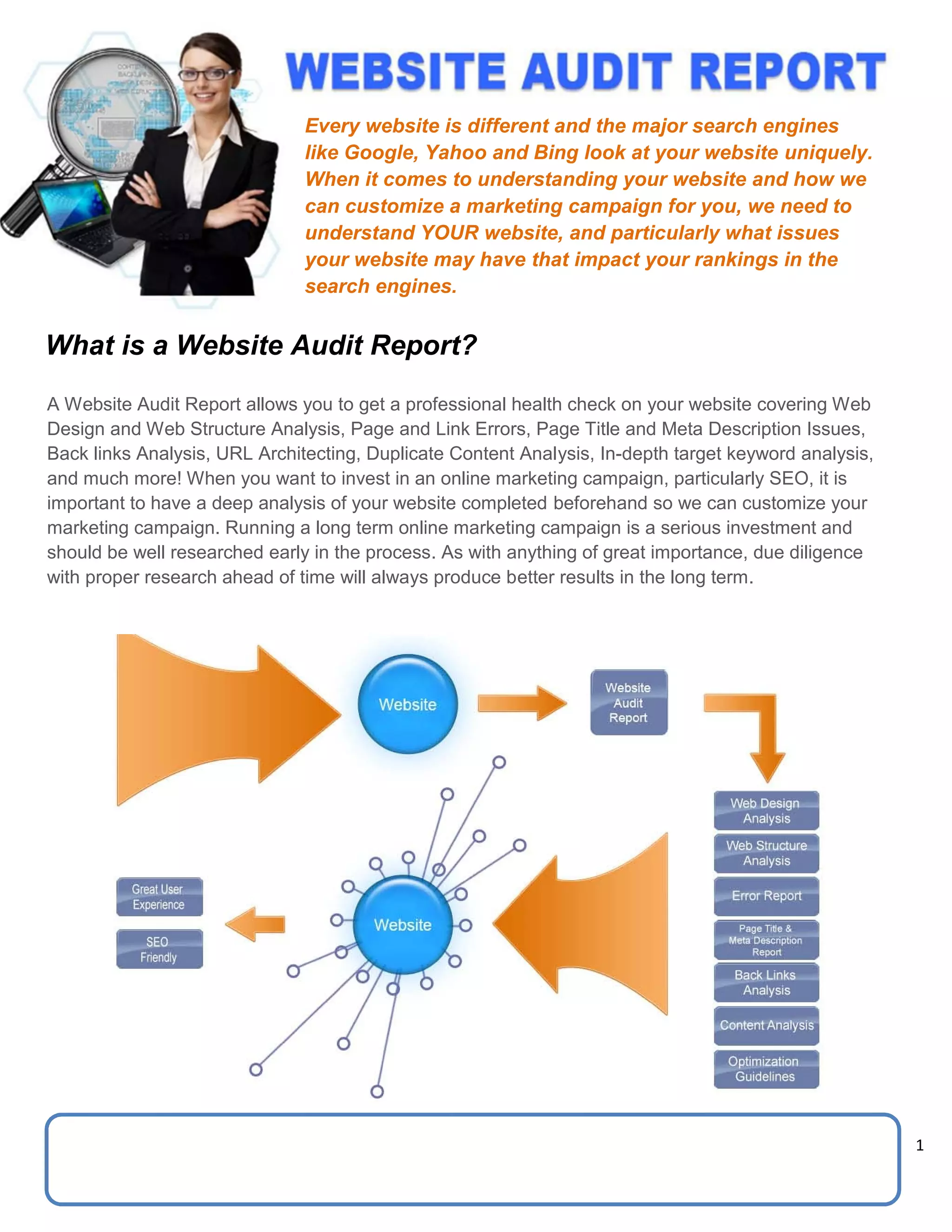 WebsiteAudit | PDF
