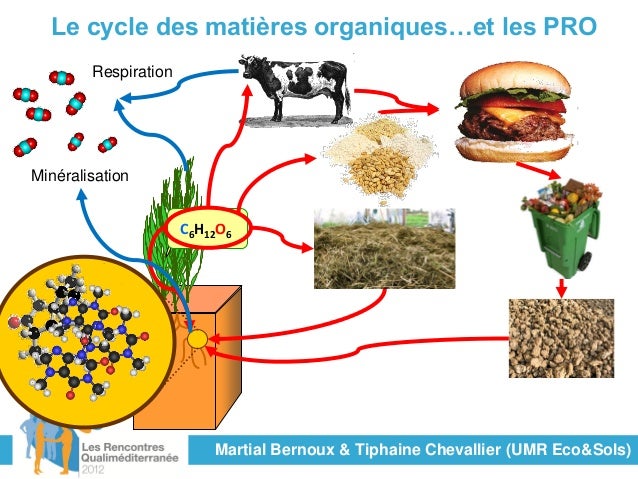 Exemple De Matières Organiques – WVPOX