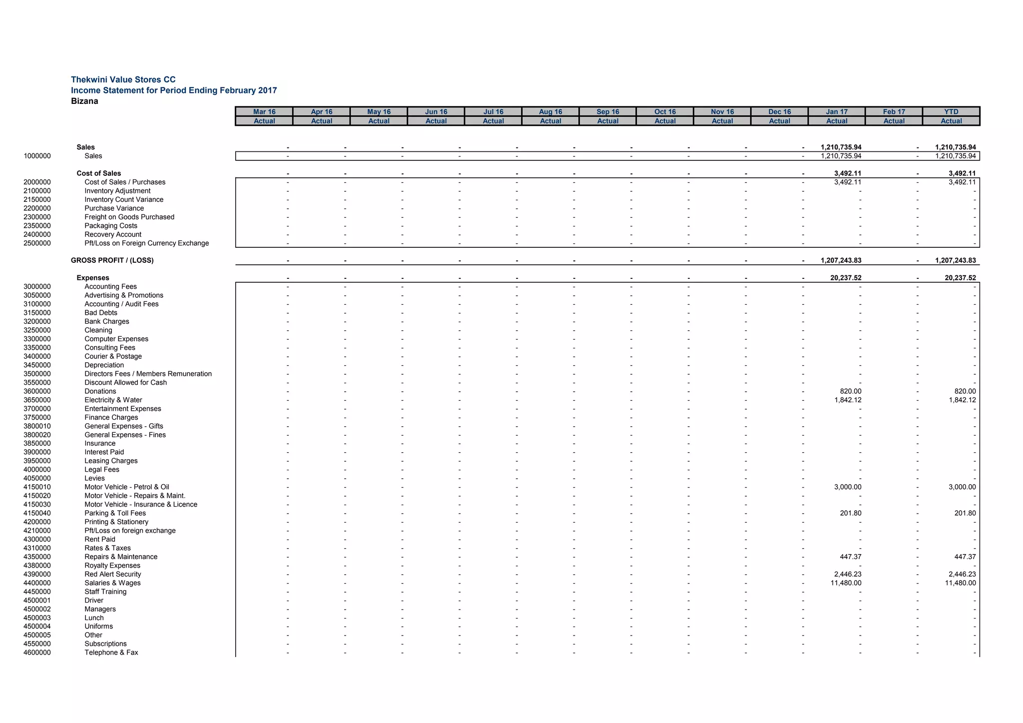 Income statement example | PDF