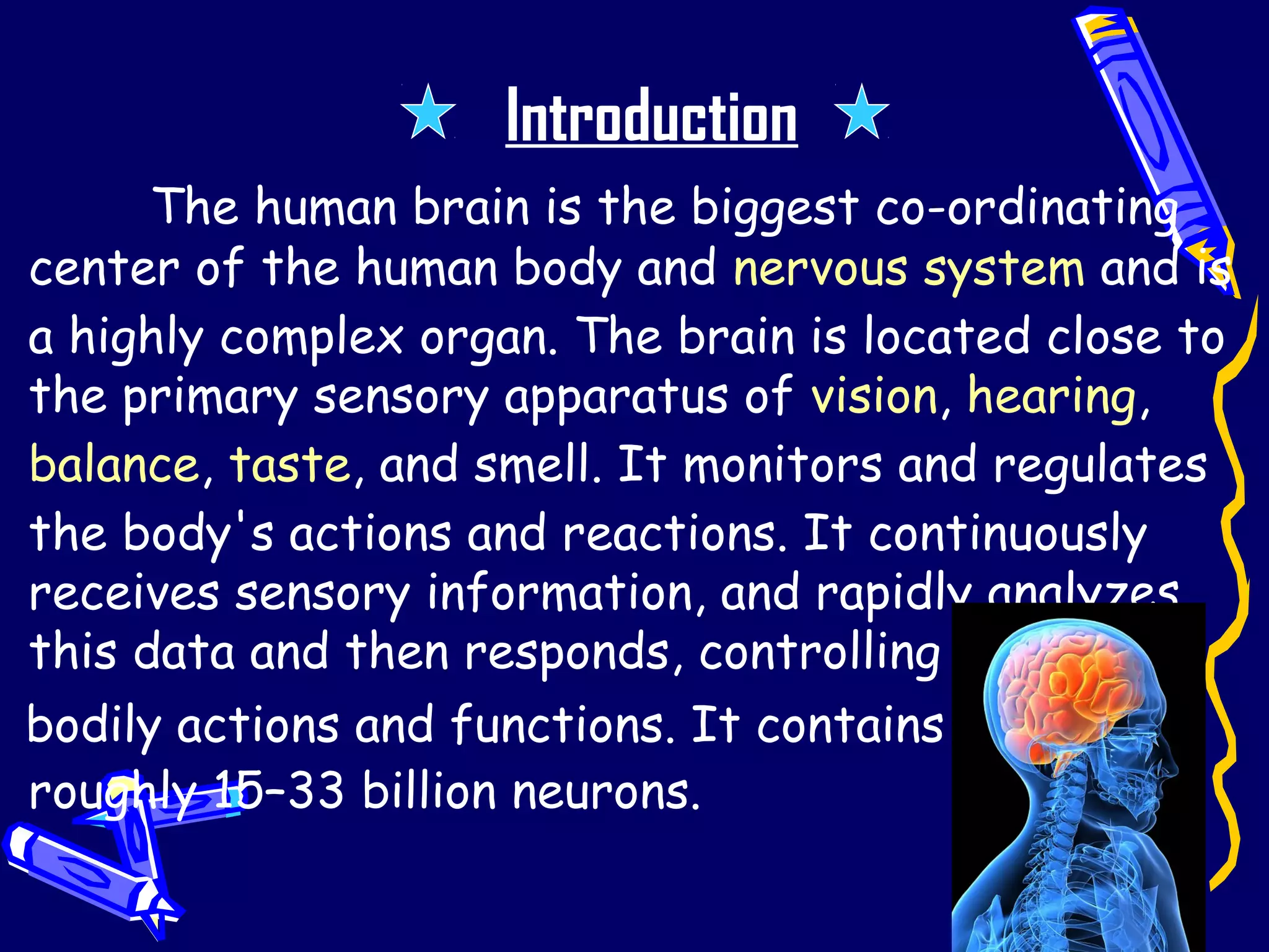 Parts And Functions of Human Brain | PPT
