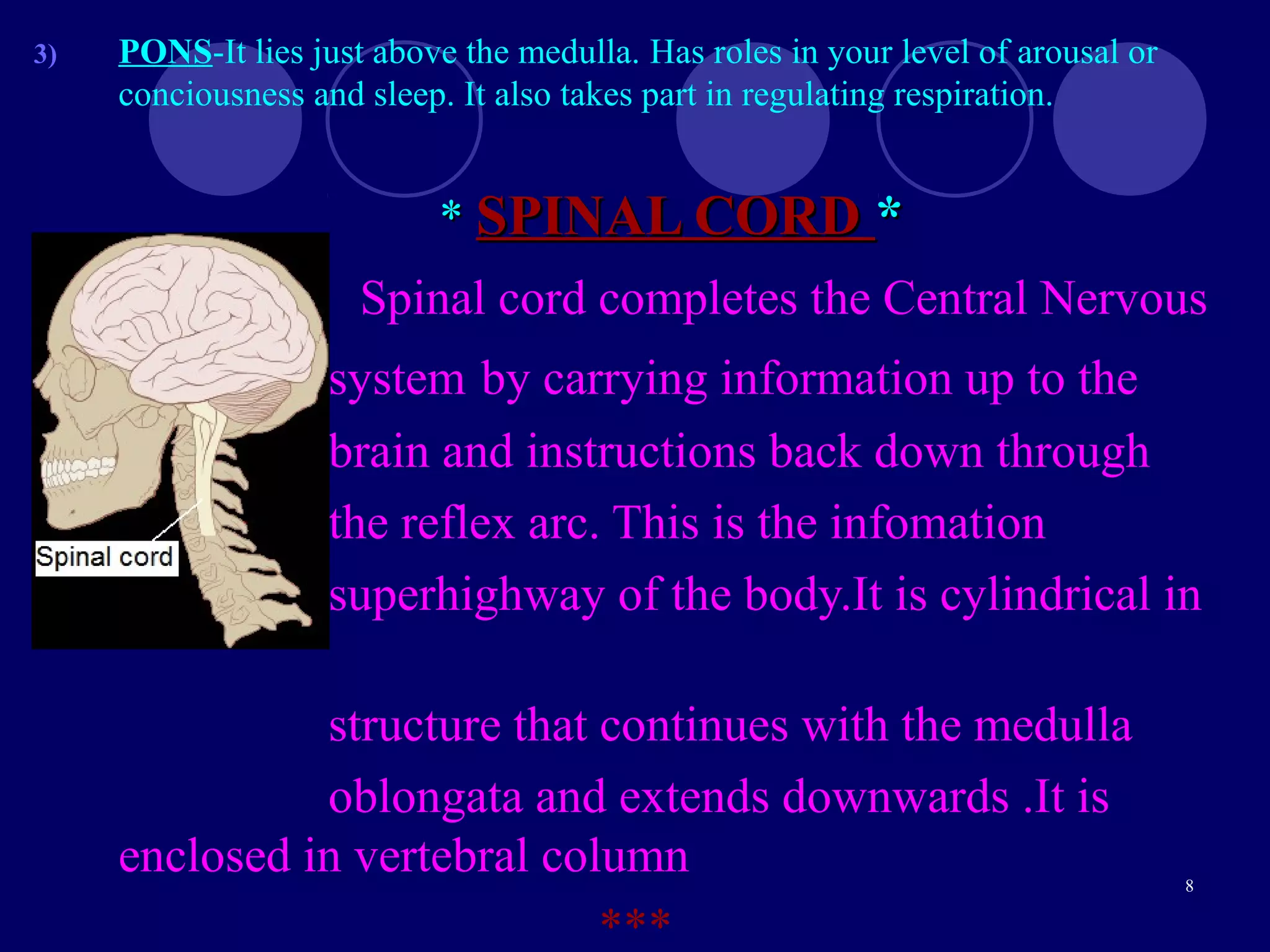 Parts And Functions of Human Brain | PPT