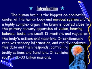 Parts And Functions of Human Brain | PPT