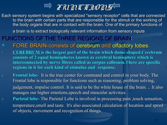 Parts And Functions of Human Brain | PPT