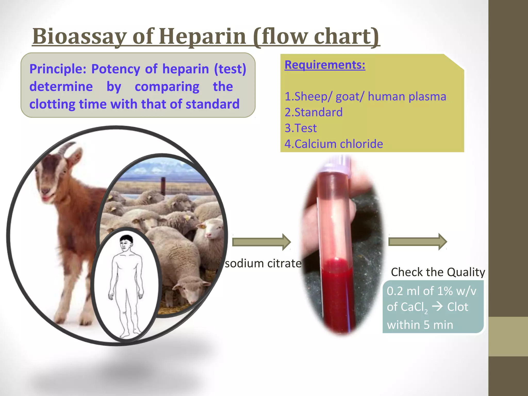 Bioassay of Heparin | PPT