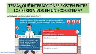 1_BIOLOGIA,ECOLOGIA, GRADO SEPTIMO_2O2OI | PPTX