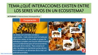 1_BIOLOGIA,ECOLOGIA, GRADO SEPTIMO_2O2OI | PPTX