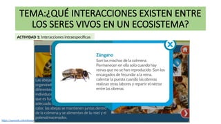 1_BIOLOGIA,ECOLOGIA, GRADO SEPTIMO_2O2OI | PPTX