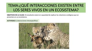 1_BIOLOGIA,ECOLOGIA, GRADO SEPTIMO_2O2OI | PPTX