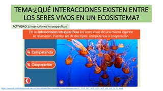 1_BIOLOGIA,ECOLOGIA, GRADO SEPTIMO_2O2OI | PPTX