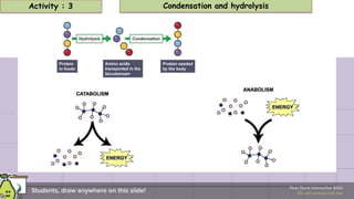 1 _ BIOLOGICAL MOLECULES CARBOHYDRATES 1.pptx