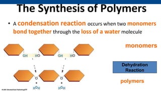 1 _ BIOLOGICAL MOLECULES CARBOHYDRATES 1.pptx