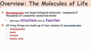 1 _ BIOLOGICAL MOLECULES CARBOHYDRATES 1.pptx