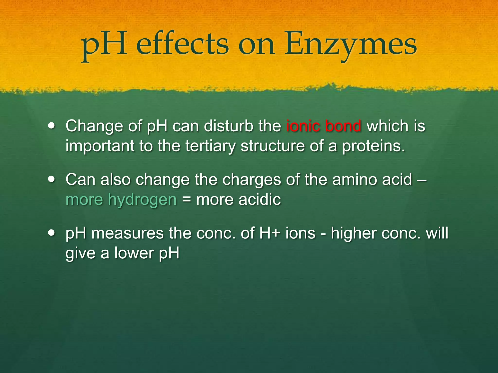 AS Level Biology - 3) Enzymes | PPTX