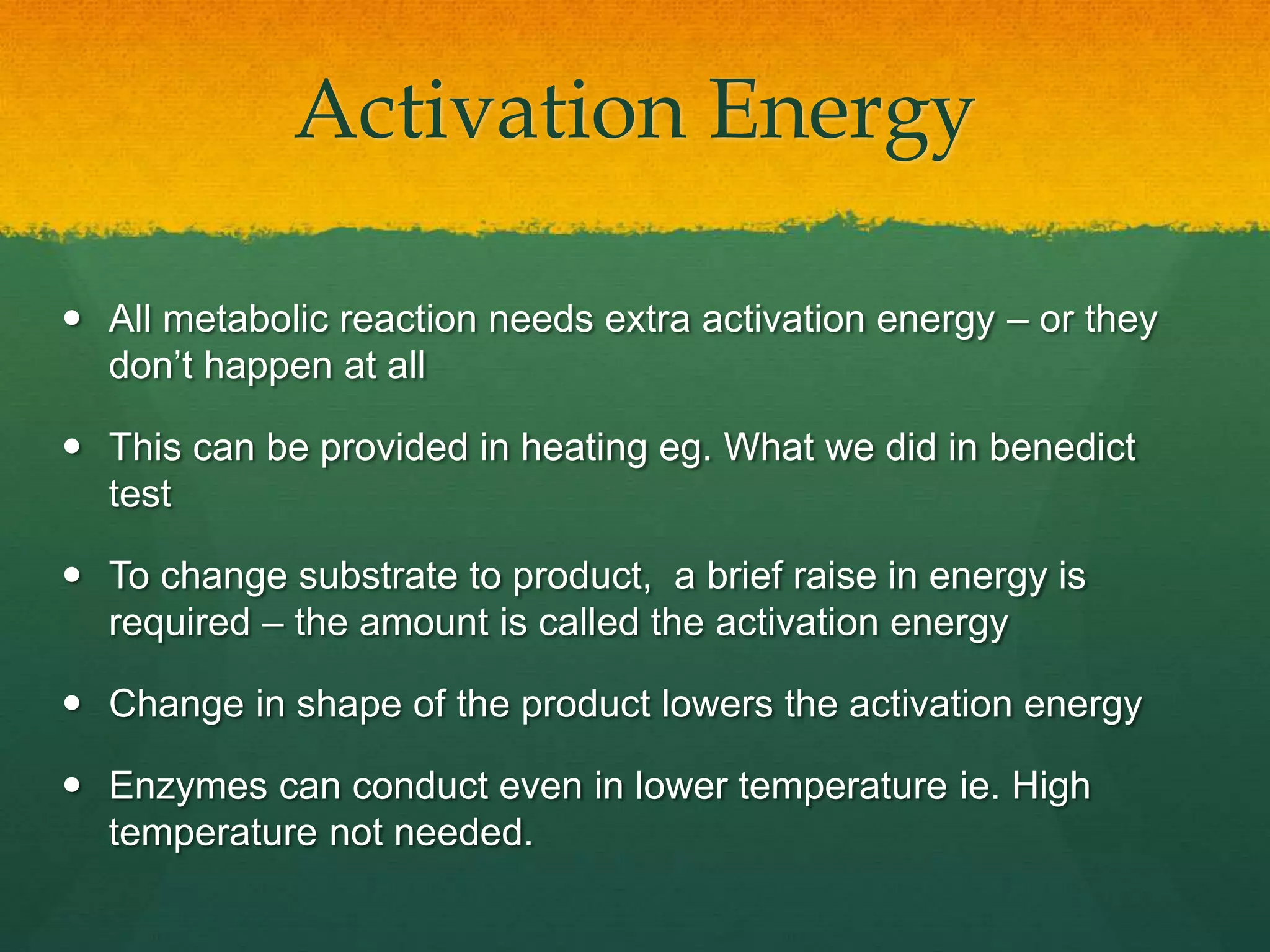 AS Level Biology - 3) Enzymes | PPTX