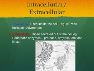 AS Level Biology - 3) Enzymes | PPTX