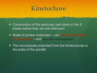 AS Level Biology - 5/6) Mitotic Cell Cycle and Protein Synthesis | PPTX