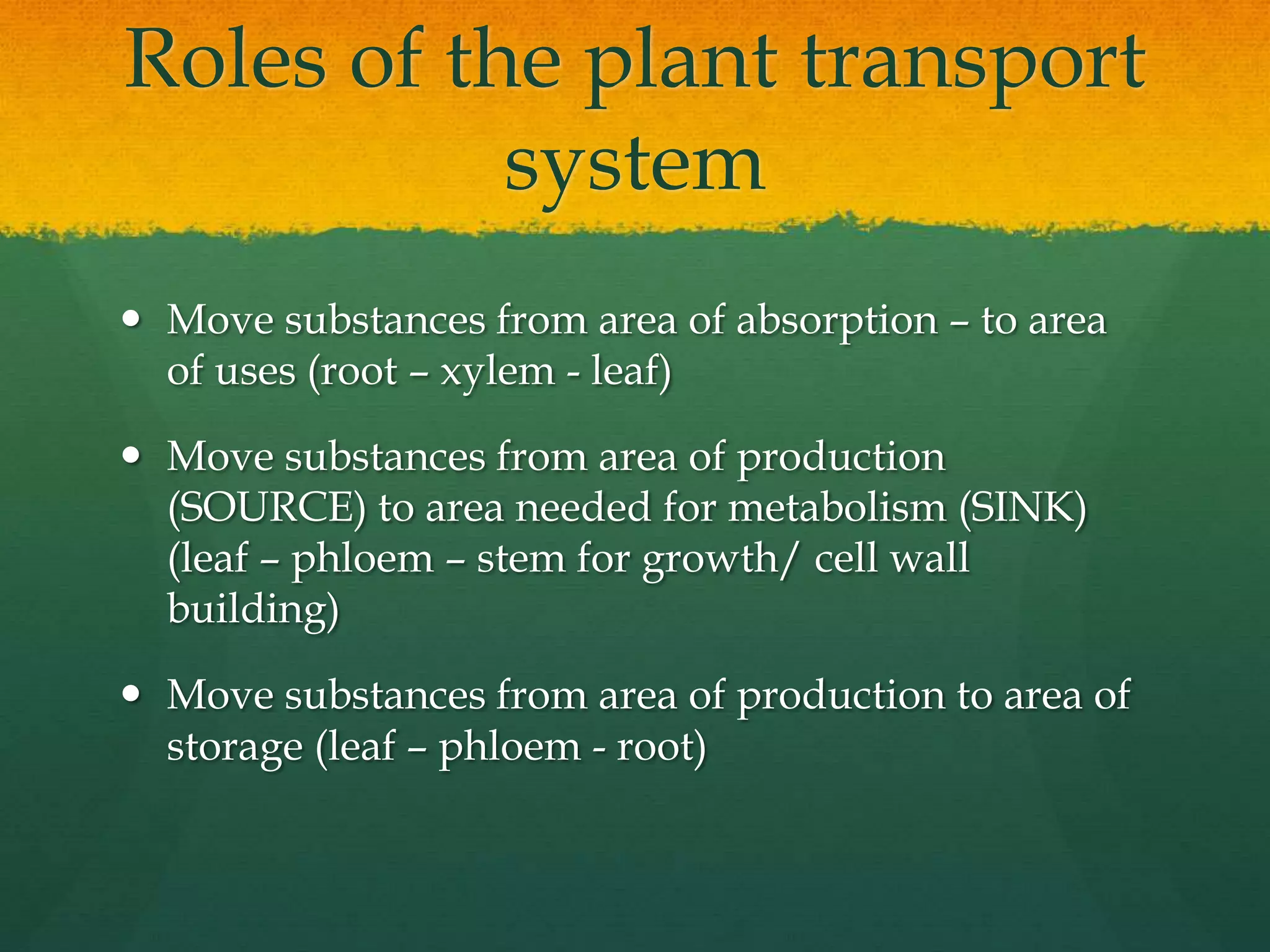 AS Level Biology - 7) Plant Transport | PPTX