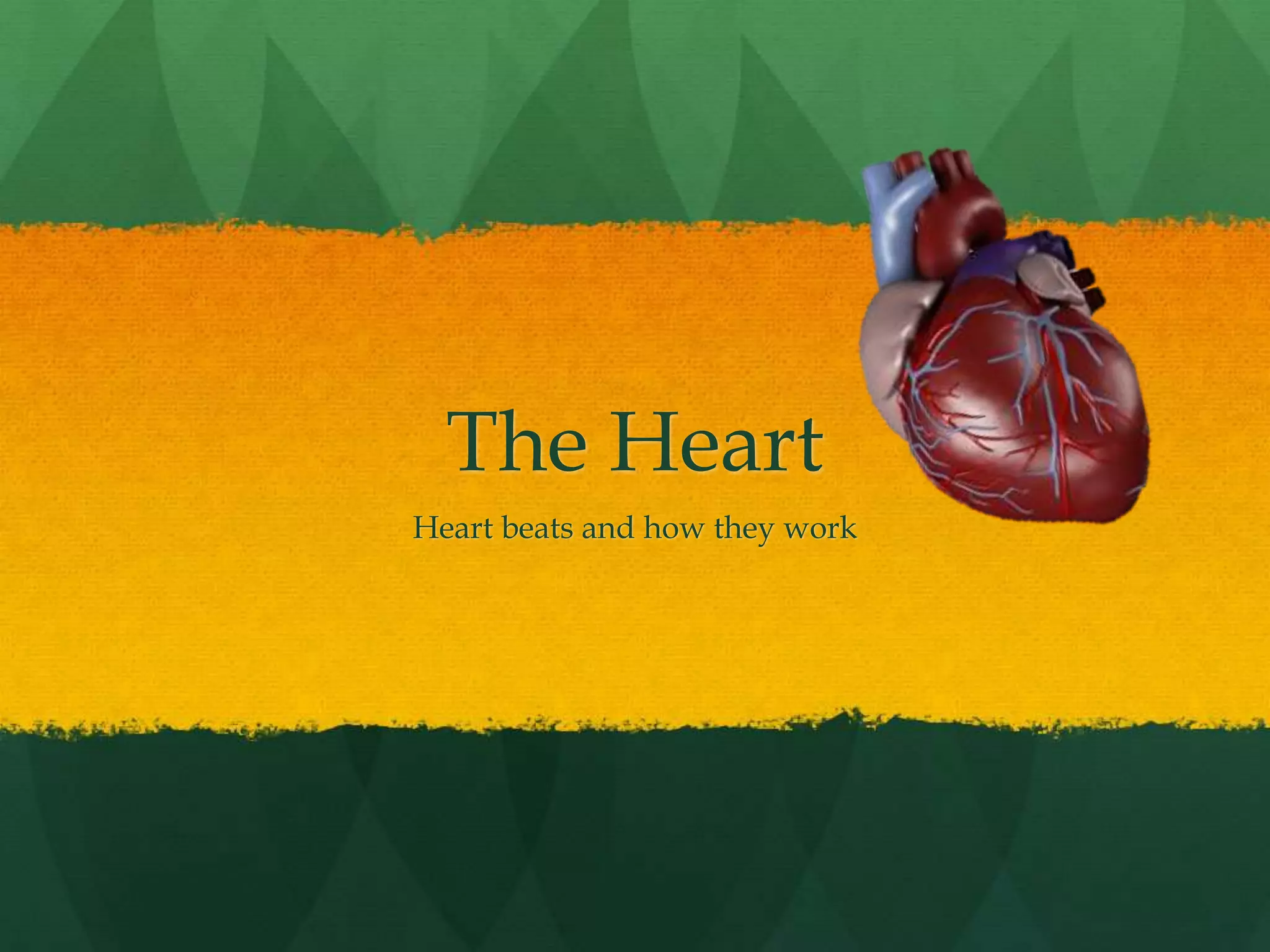 AS Level Biology - 8) Transport in Mammals | PPTX