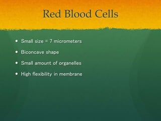 AS Level Biology - 8) Transport in Mammals | PPTX