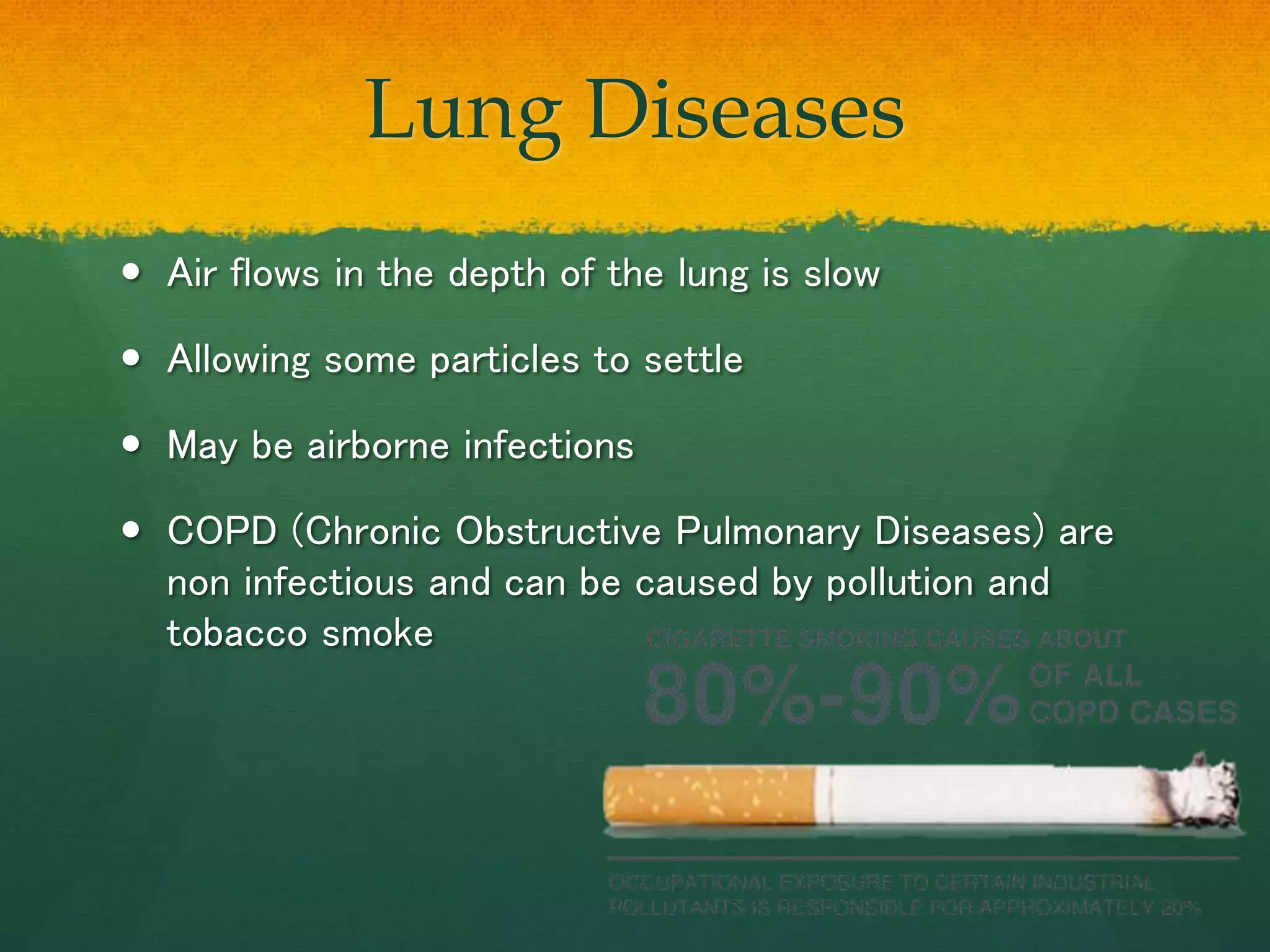 AS Level Biology - 9) Gas Exchange | PPTX