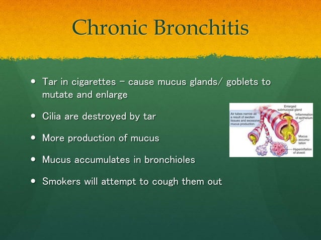 AS Level Biology - 9) Gas Exchange | PPTX | Lung and Respiratory Health ...