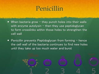 AS Level Biology - 10/11) Infectious Diseases and Immunity | PPTX