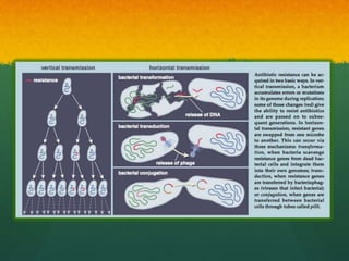 AS Level Biology - 10/11) Infectious Diseases and Immunity | PPTX