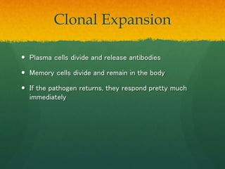 AS Level Biology - 10/11) Infectious Diseases and Immunity | PPTX