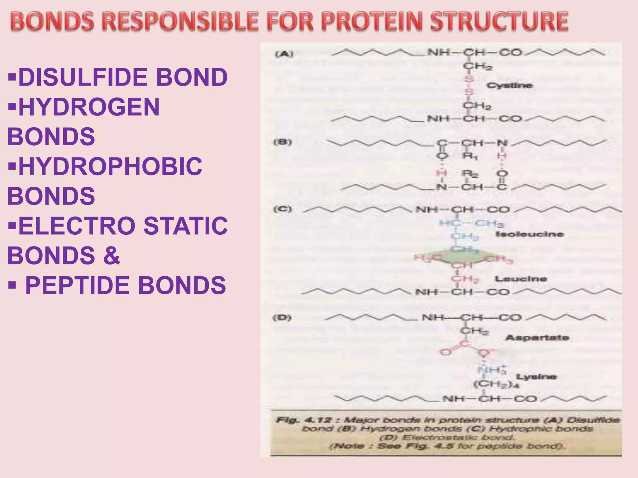 1 BIOMOLECULES.pptx