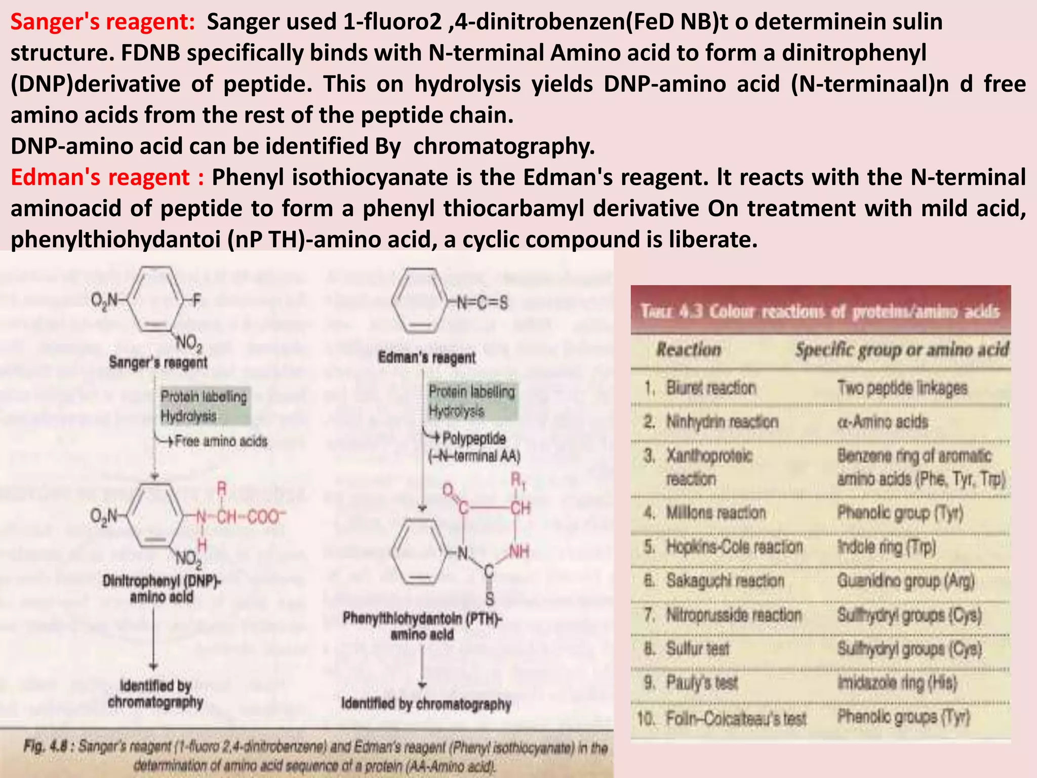 1 BIOMOLECULES.pptx