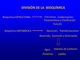 1 bioquimica | PPT